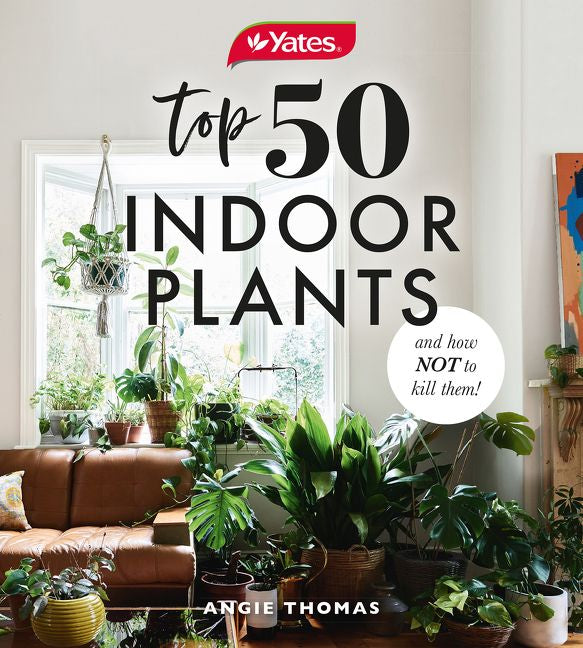 Yates Top 50 Indoor Plants And How Not To Kill Them! – The Foyer Store